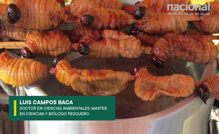 El biólogo Luis Campos Baca, explica las propiedades medicinales del ...