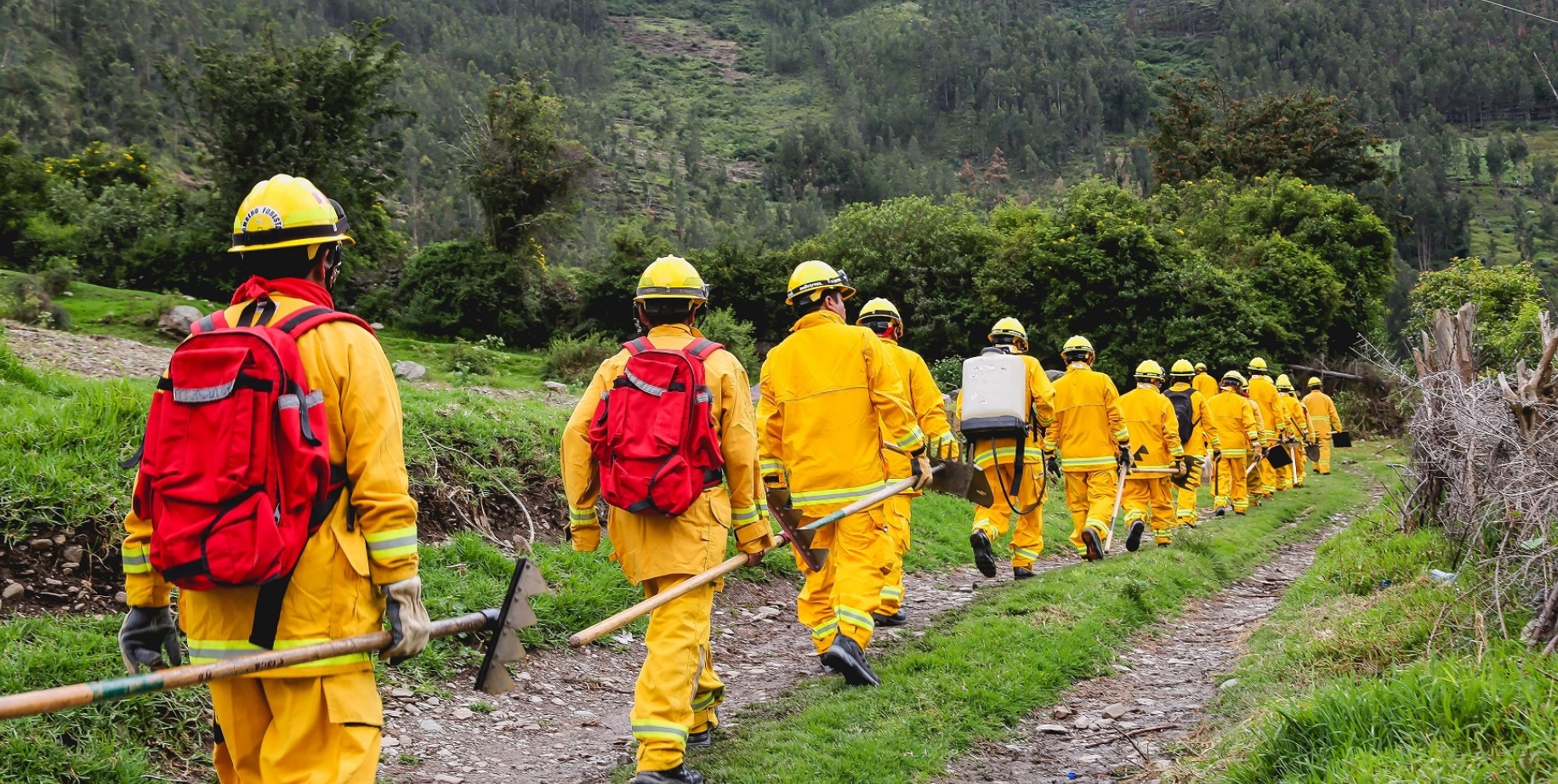 Guardaparques del Sernanp liderarán acciones para mitigar incendio ...