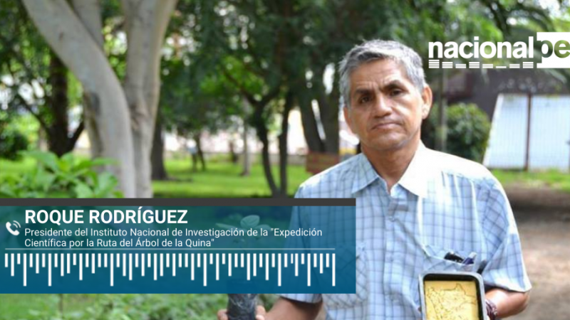 Roque Rodríguez: “Propiedades del árbol de la quina pueden ser ...
