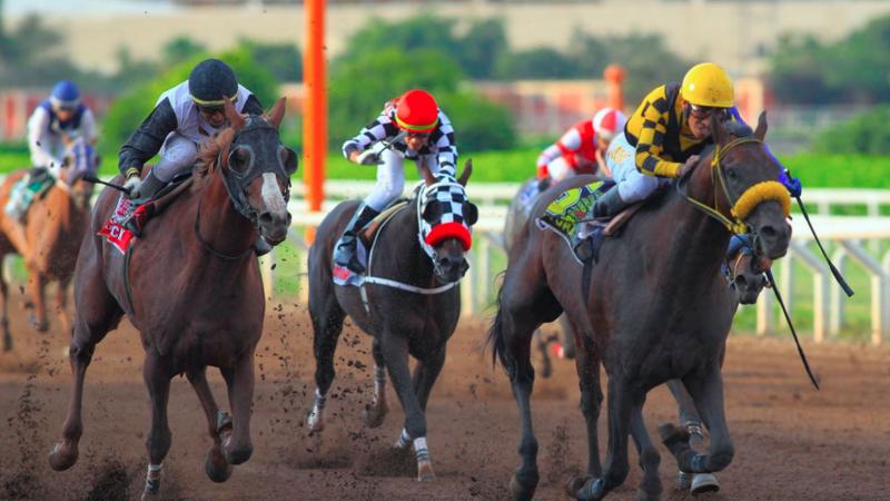 Gran Premio Latinoamericano 2024: ¡Este 14 de abril prepárate para el espectáculo de las ...